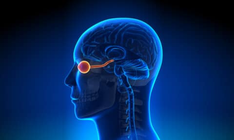 Why the Eye is the Window to Brain Pathology - Zilia